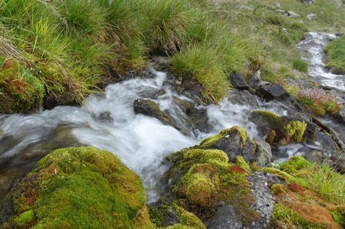 Research Groups | Department of Environmental Sciences
